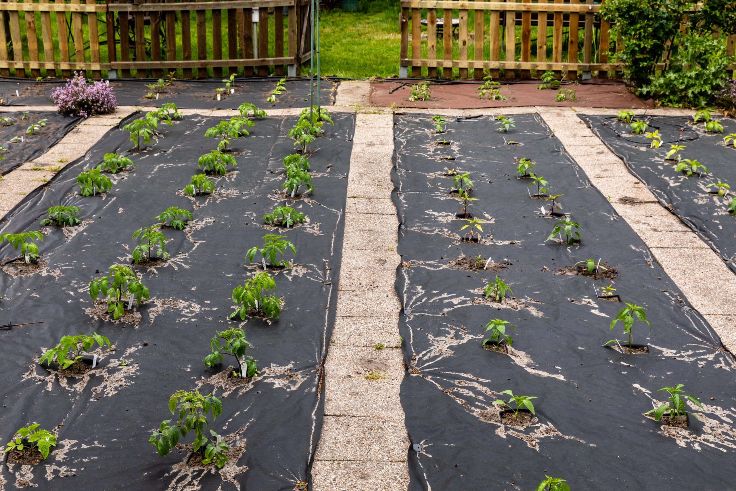 Weed Control Mat Manufacturers | Weed Barrier Fabric