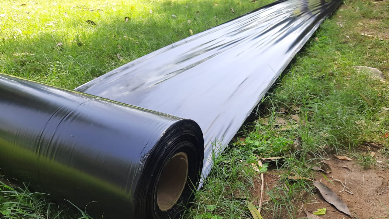 Biodegradable & Plastic Mulch Film Roll | Best Price