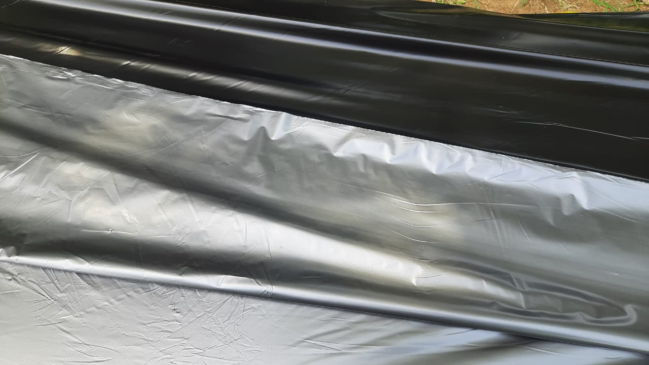Biodegradable & Plastic Mulch Film Roll | Best Price