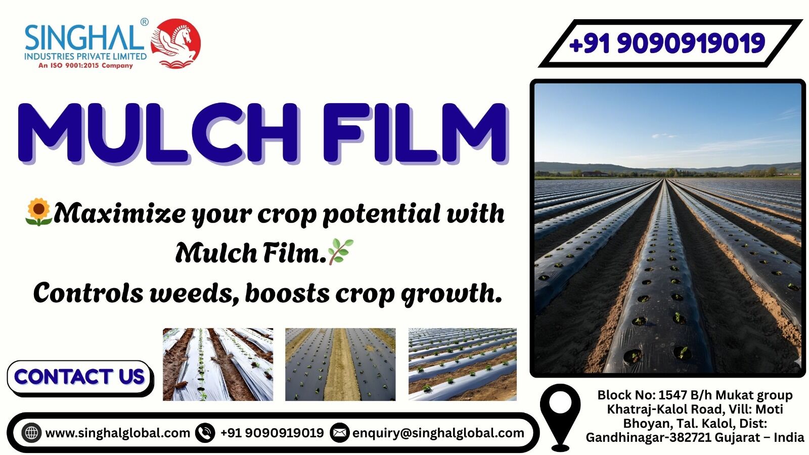 Mulch Film for Agriculture | Weed Control & Higher Yield